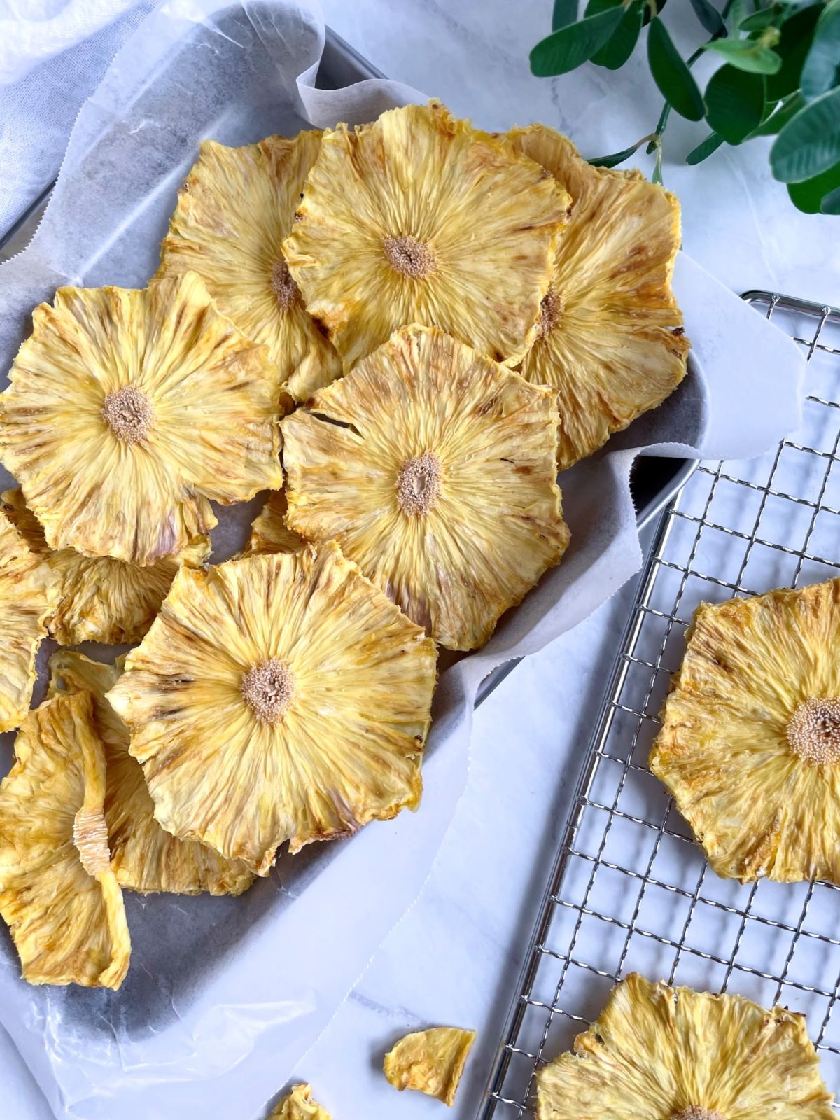 Dehydrated Pineapple Discs ⋆ Seasoned by Jin