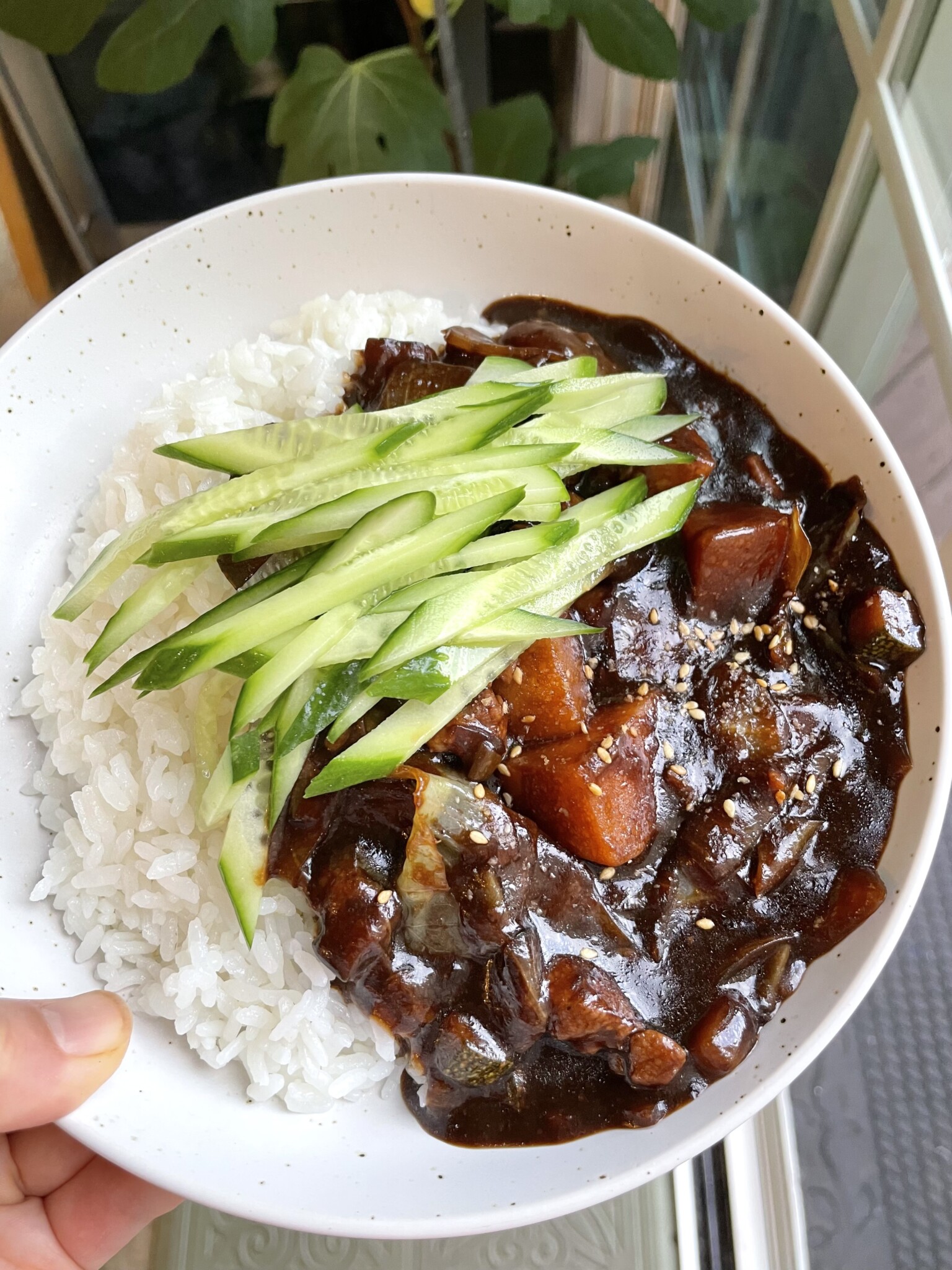 Jjajangbap (Rice with Black Bean Sauce) ⋆ Seasoned by Jin